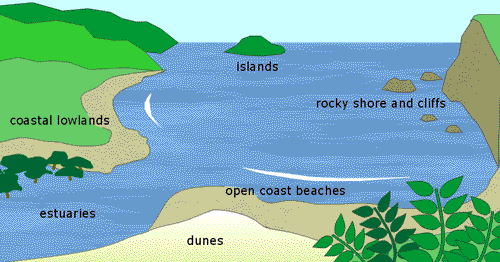 BILINGUAL RESOURCES (Images and Pictures): SCIENCE IMAGES - Coastal ...
